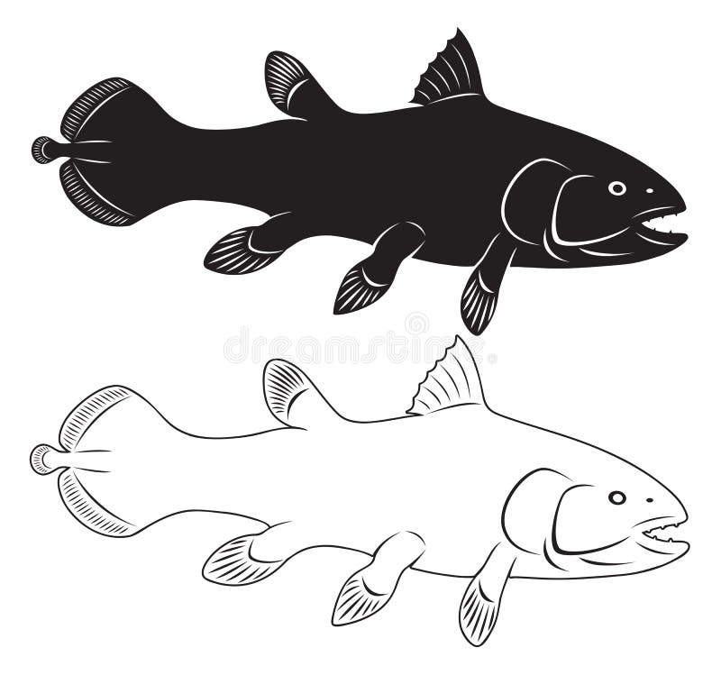 Coelacanth vector illustratie. Illustration of fossiel - 31273001