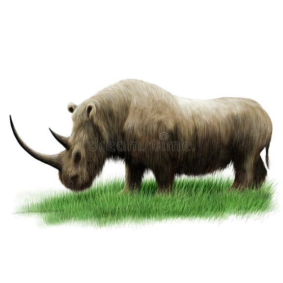Coelodonta stock illustration. Illustration of wool, painting - 48493244