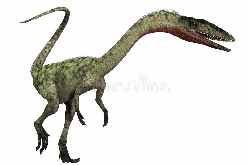 Coelophysis-Jagd stock abbildung. Illustration von italien - 53963453