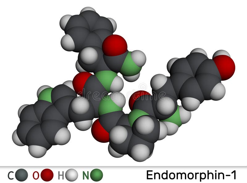 Coenzyme a, CoA, SHCoA, CoASH Molecule. Molecular Model. 3D Rendering ...