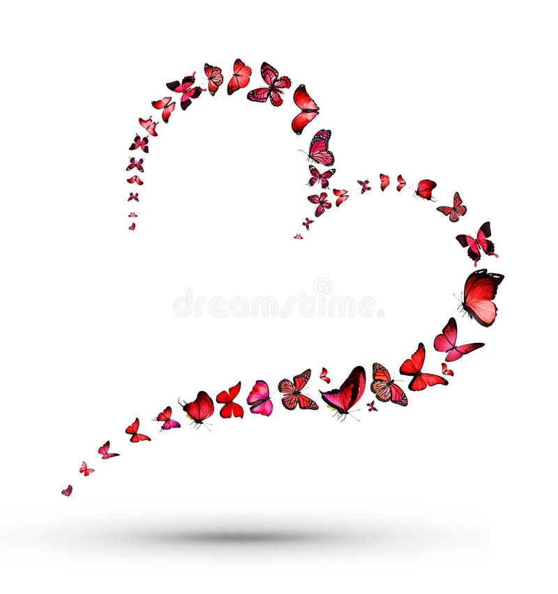 Coeur avec des papillons illustration stock. Illustration du liberté ...