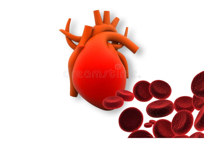 Coeur Avec Les Cellules Rouges Illustration Stock - Illustration du ...