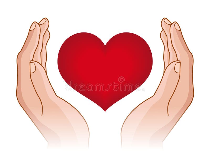 Coeur dans des mains illustration de vecteur. Illustration du chéri ...