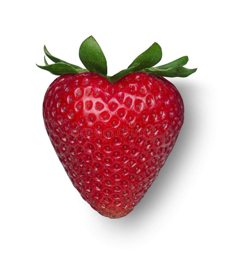 Fraise-coeur image stock. Image du écologie, durée, flore - 14314973