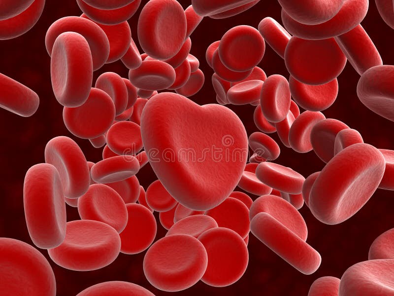 Globules Sanguins Rouges De Coeur Illustration Stock - Illustration du ...