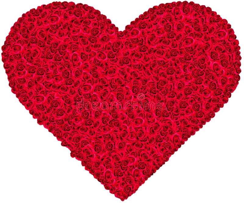 Coeur de rose de rouge photo stock. Image du valentin, pétale - 485048