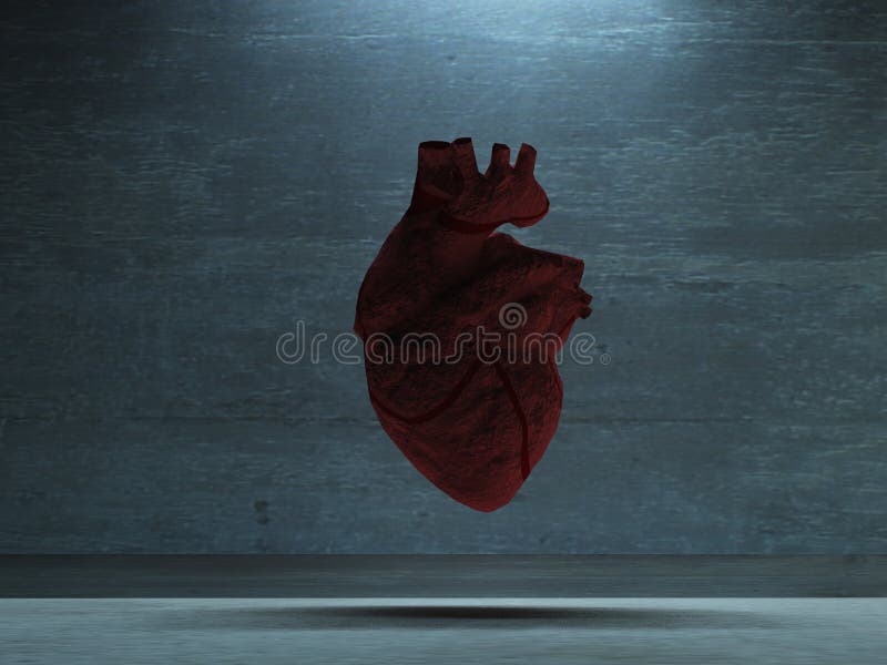 Coeur en pierre humain illustration stock. Illustration du tuyau ...