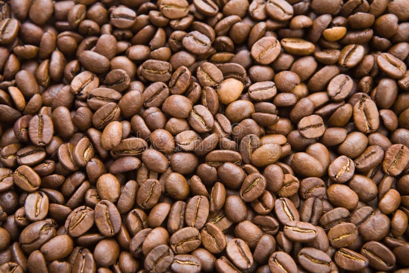 Cofee close-up stock photo. Image of seed, freshness, dark - 8051246