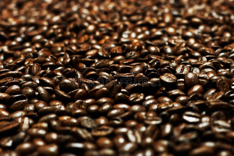 Cofee Grains (Shallow DOF) stock photo. Image of black - 2253038