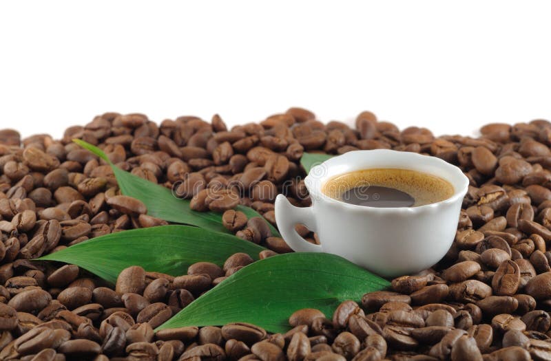 Coffe stock photo. Image of coffein, abundance, capuccino - 11414800