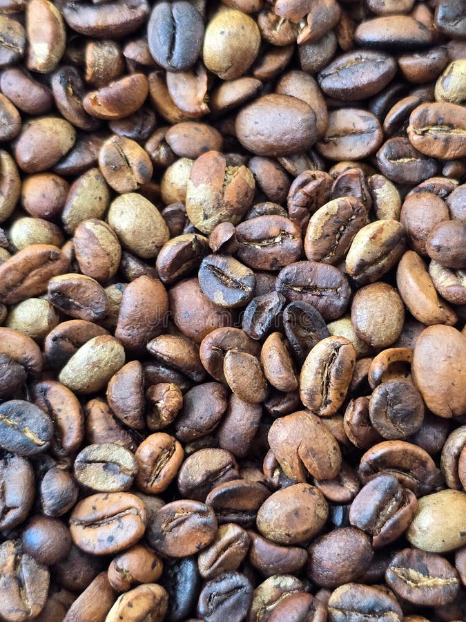 Coffe beans stock photo. Image of full, agriculture - 341893886