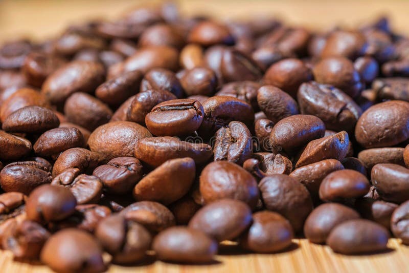 Coffe beans for coffeshop stock photo. Image of drink - 271345584