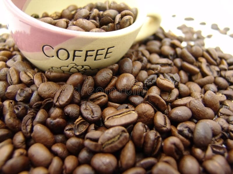 Red Coffe Cup stock image. Image of refreshment, kitchen - 3810909