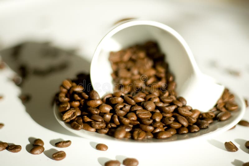 Coffe cup stock image. Image of shadow, coffecup, coffe - 9487907