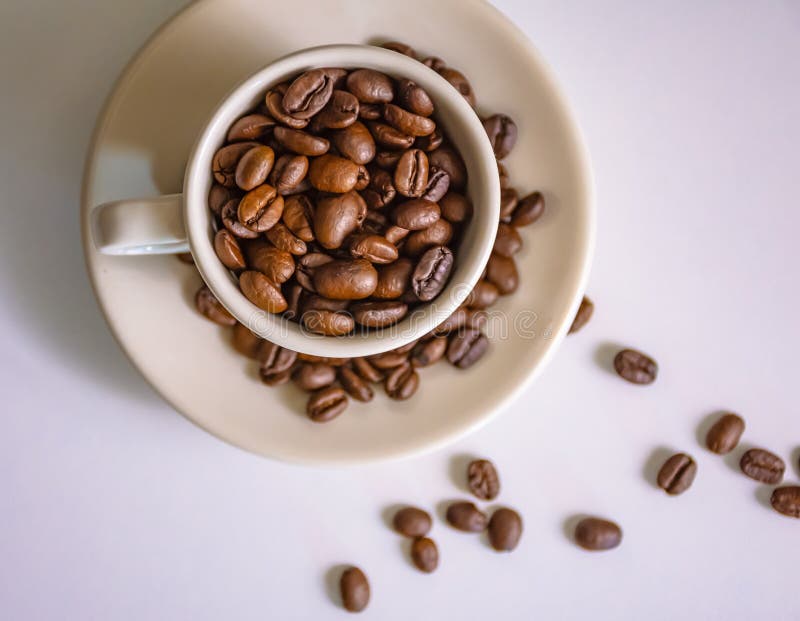 Coffe Cup and Beans Coffe Inside Stock Image - Image of inside, coffe ...