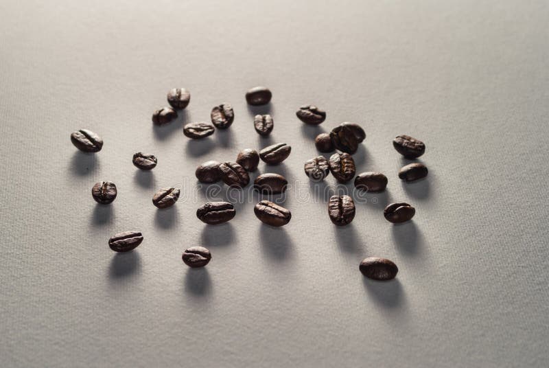 Coffebeans on Neutral Gray Background. Dark Roast Coffee. Stock Image ...
