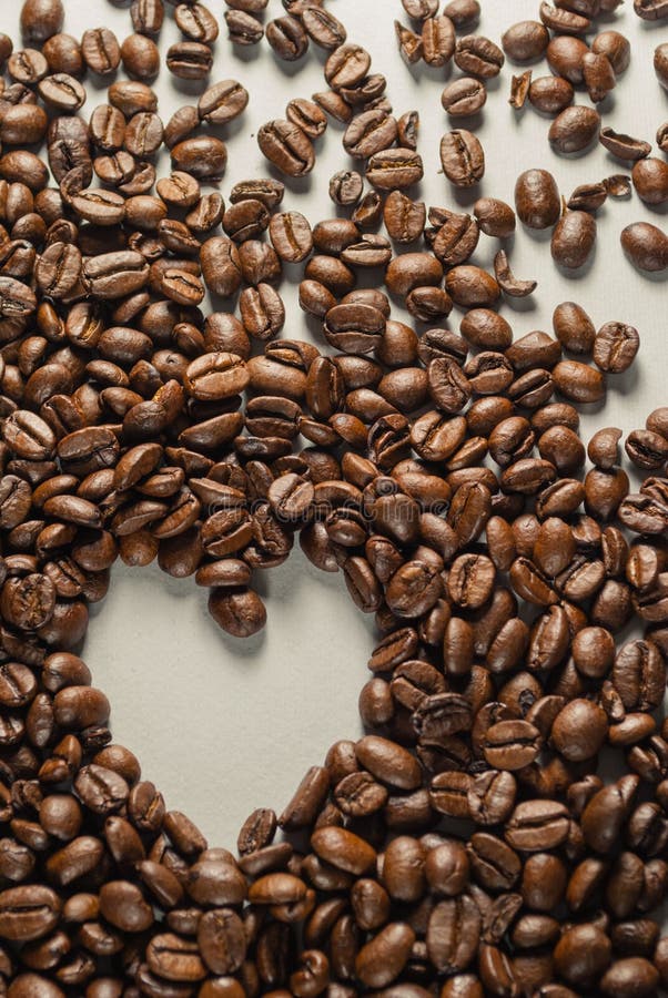 Coffebeans on Neutral Gray Background. Dark Roast Coffee. Stock Photo ...
