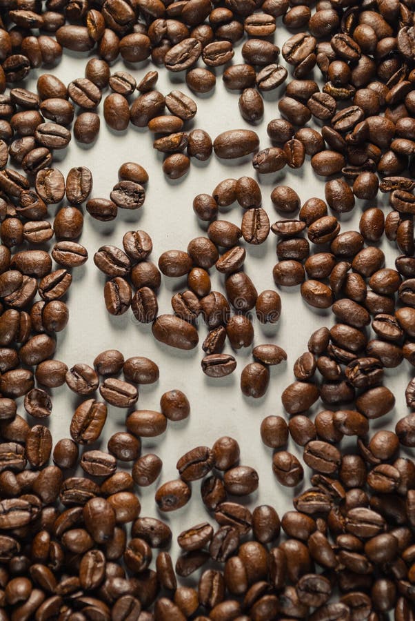 Coffebeans on Neutral Gray Background. Dark Roast Coffee. Stock Image ...