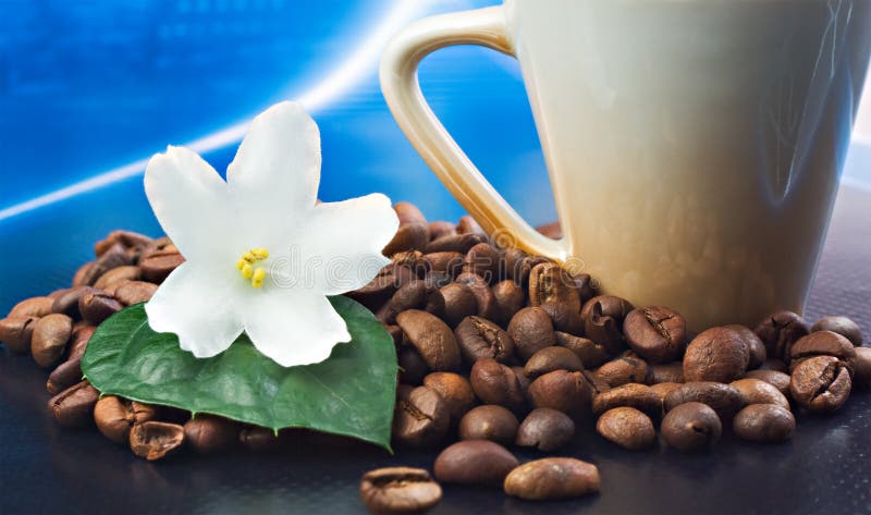 Coffee stock photo. Image of coffe, details, natural - 15074864