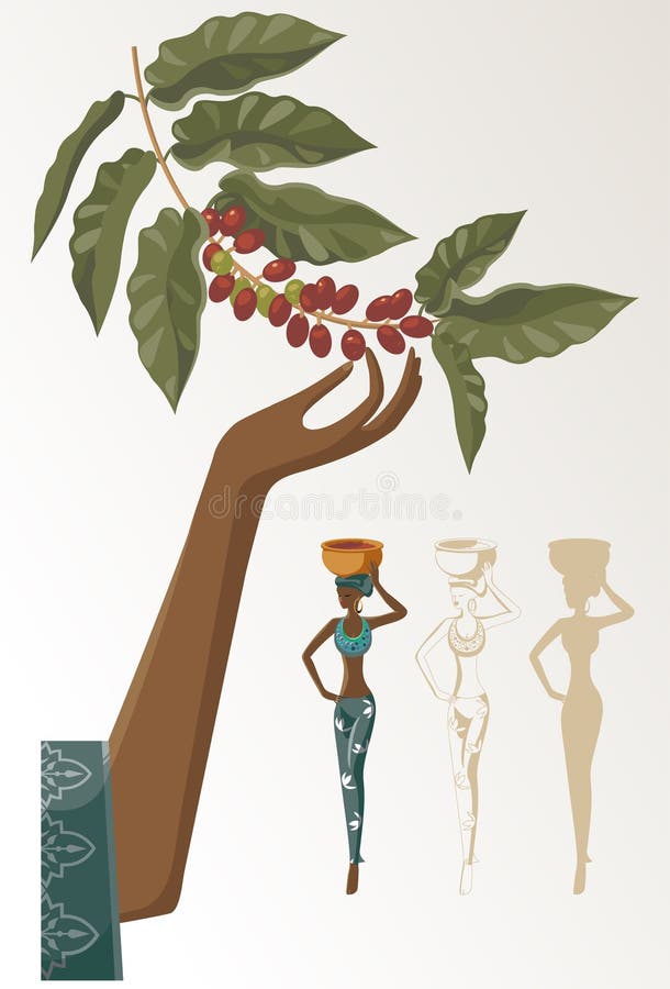 Coffee Tree Farm Stock Illustrations – 1,545 Coffee Tree Farm Stock ...