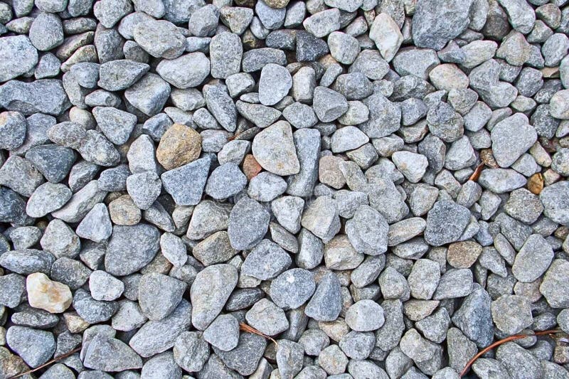 A Collection of Small, Irregularly Shaped Gray Pebbles and Stones ...