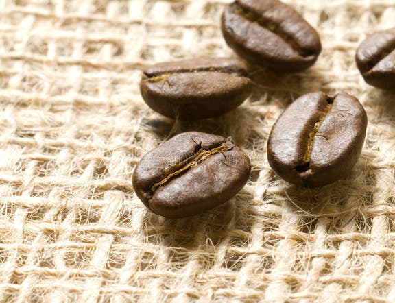 Coffee stock photo. Image of java, ingredient, closeup - 5940956