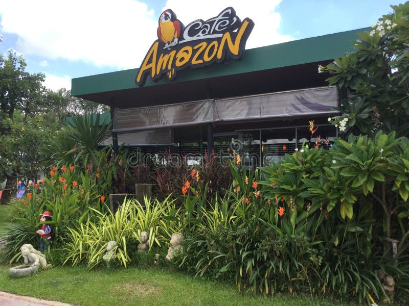 Coffee Amazon shop editorial photo. Image of cute, chit - 75401346