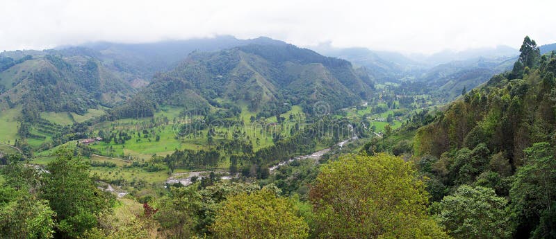 The Coffee Axis, Caldas, Quind O and Risaralda, Colombia Stock Photo ...