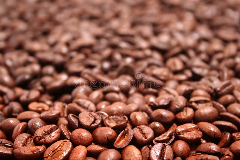 Coffee background stock photo. Image of smell, plenty - 5621192