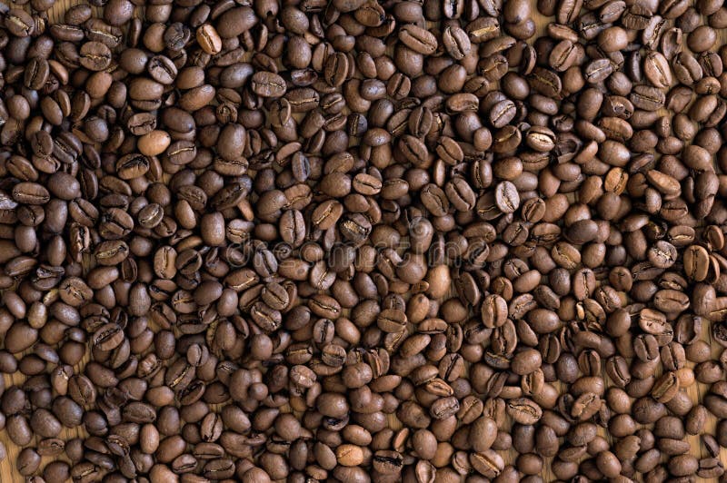 Coffee stock photo. Image of invoice, grains, bill, account - 73604312