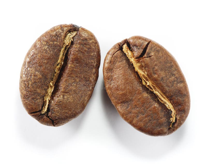 Raw coffee bean stock image. Image of tasty, fruit, harvest - 18180107 Raw coffee bean stock image. Image of tasty, fruit, harvest - 18180107