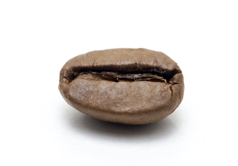 7,253 Single Coffee Bean Stock Photos - Free & Royalty-Free Stock ...