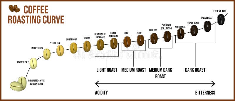 Coffee Process Roasting Stock Illustrations – 277 Coffee Process Roasting Stock Illustrations ...