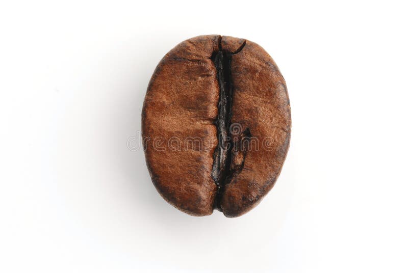 Single Coffee Bean