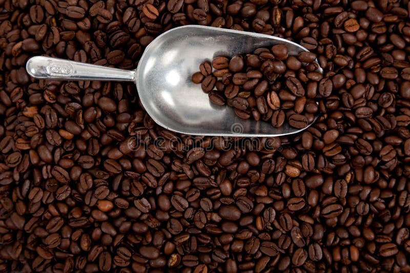 A Coffee Bean Background with a Silver Scoop Stock Image - Image of ...