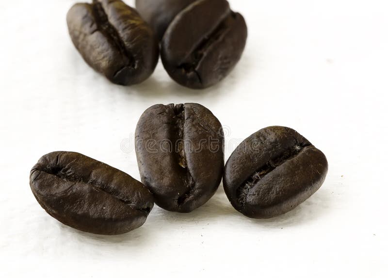 Coffee bean drop stock photo. Image of gourmet, bean - 45752298