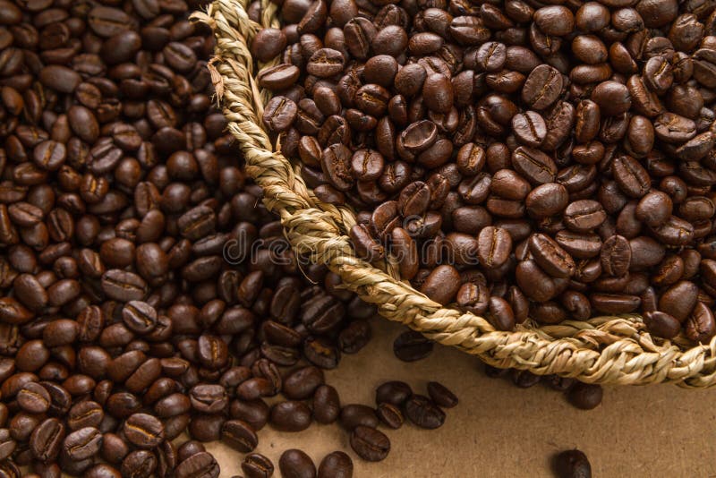 Coffee bean stock photo. Image of retro, beige, beans - 31657308