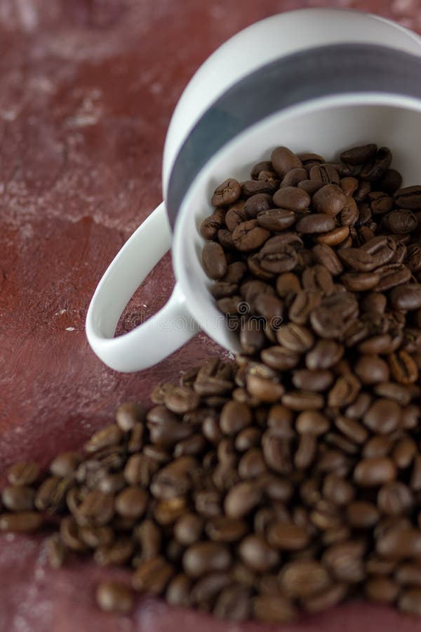 Coffee Bean in a Coffee Cup Stock Photo - Image of bean, breakfast ...