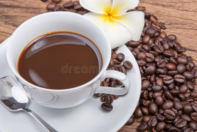 Coffee stock image. Image of brown, beans, beam, plumeria - 55362895