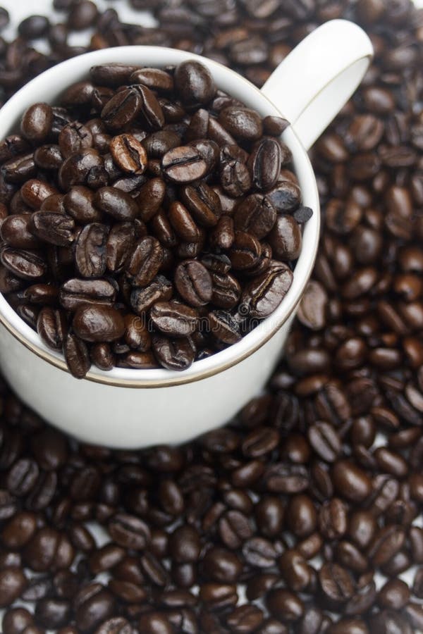 Coffee bean cup stock photo. Image of breakfast, farmers - 7243434