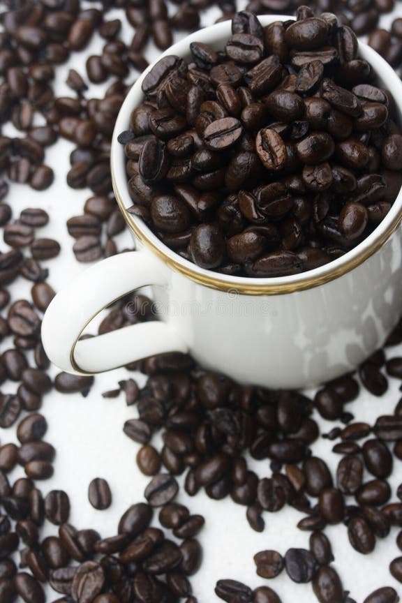 Coffee bean cup stock photo. Image of brazil, caffeine - 7243406