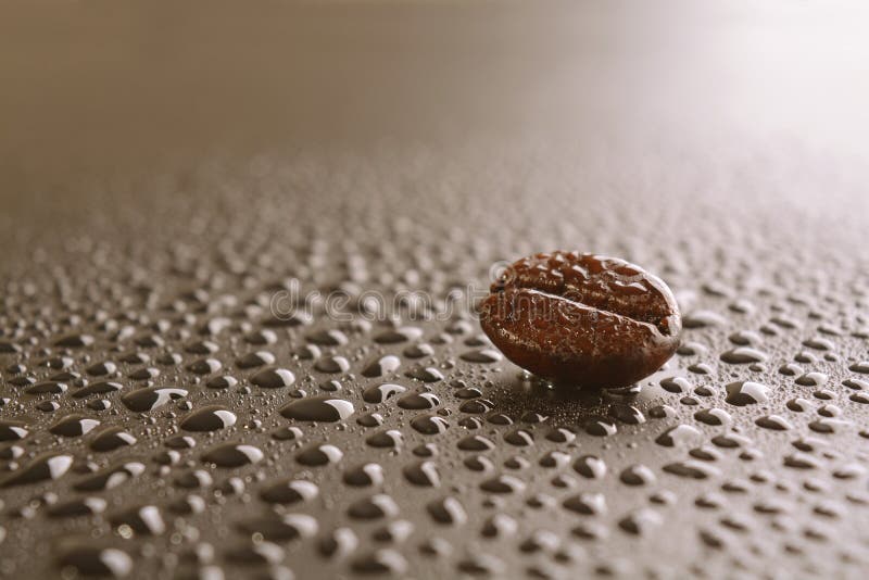 Coffee bean water splash stock photo. Image of droplets - 27630184