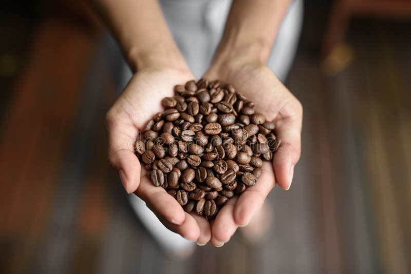 Coffee Bean, Espresso, Woman Hand Stock Photo - Image of life, still ...