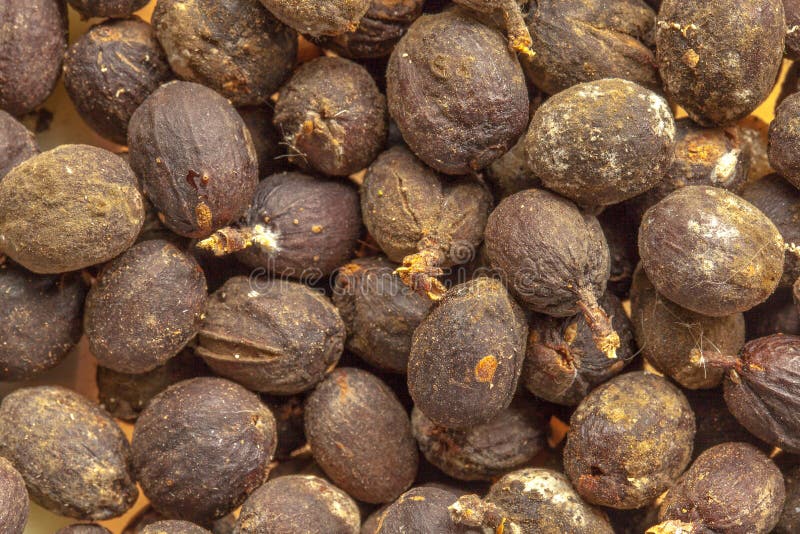 Coffee Bean Fruits Shell Texture Background Stock Photos - Free ...