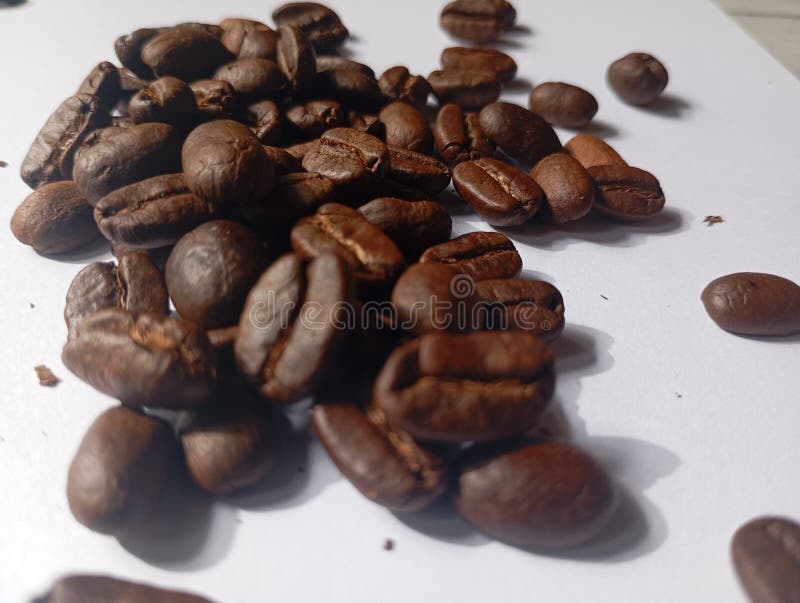 Coffee Bean Granules that Have Not Been Ground into Coffee Powder Stock ...