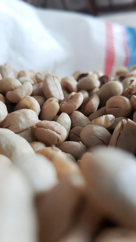 Coffee bean with hull skin stock photo. Image of baking - 221451330