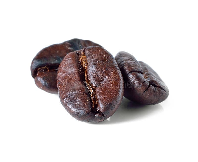 Single coffee bean stock image. Image of texture, caffeine - 5262917