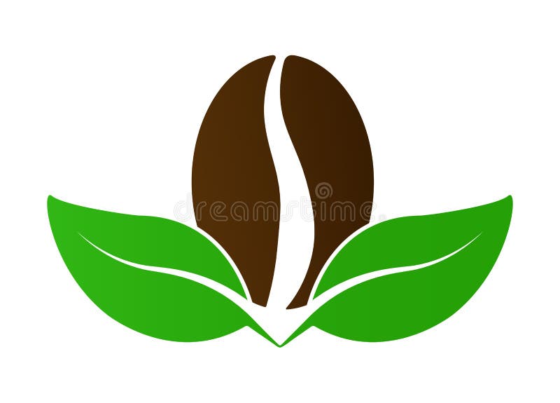 Coffee Bean and the Leaf of the Plant. Stylized Vector Illustration for ...
