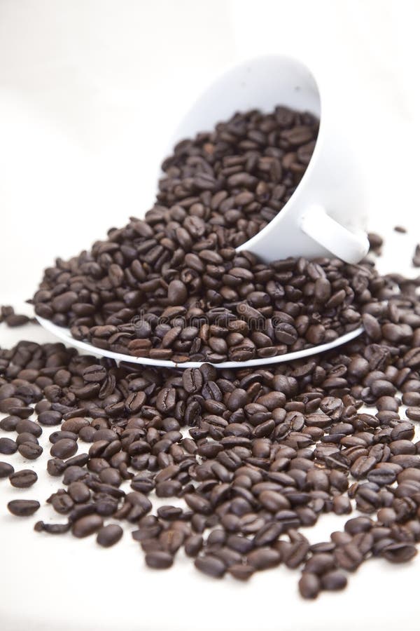 Coffee Bean Overflow stock photo. Image of fine, roast - 13652976