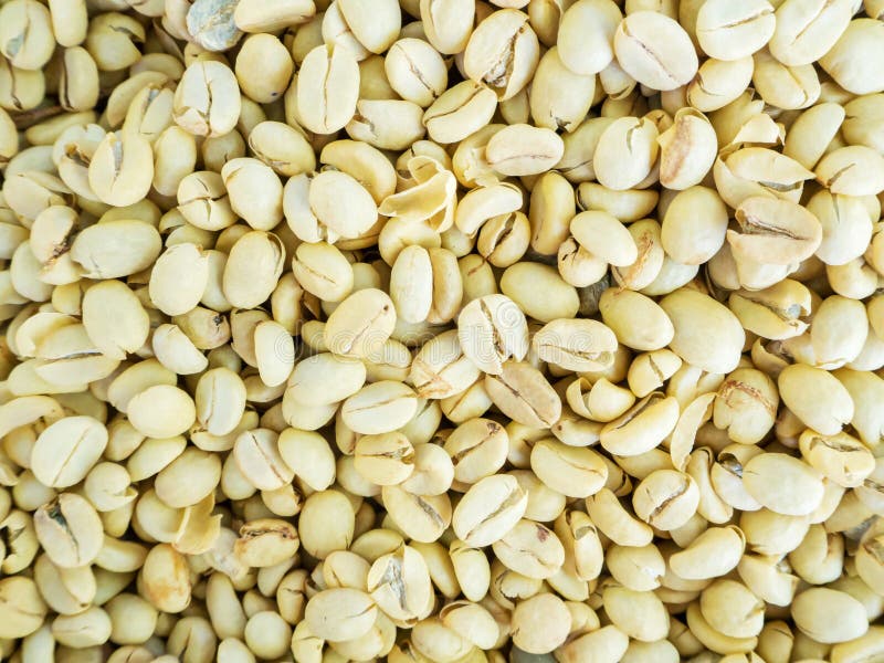 Coffee bean pattern stock image. Image of bean, coffee - 66141883